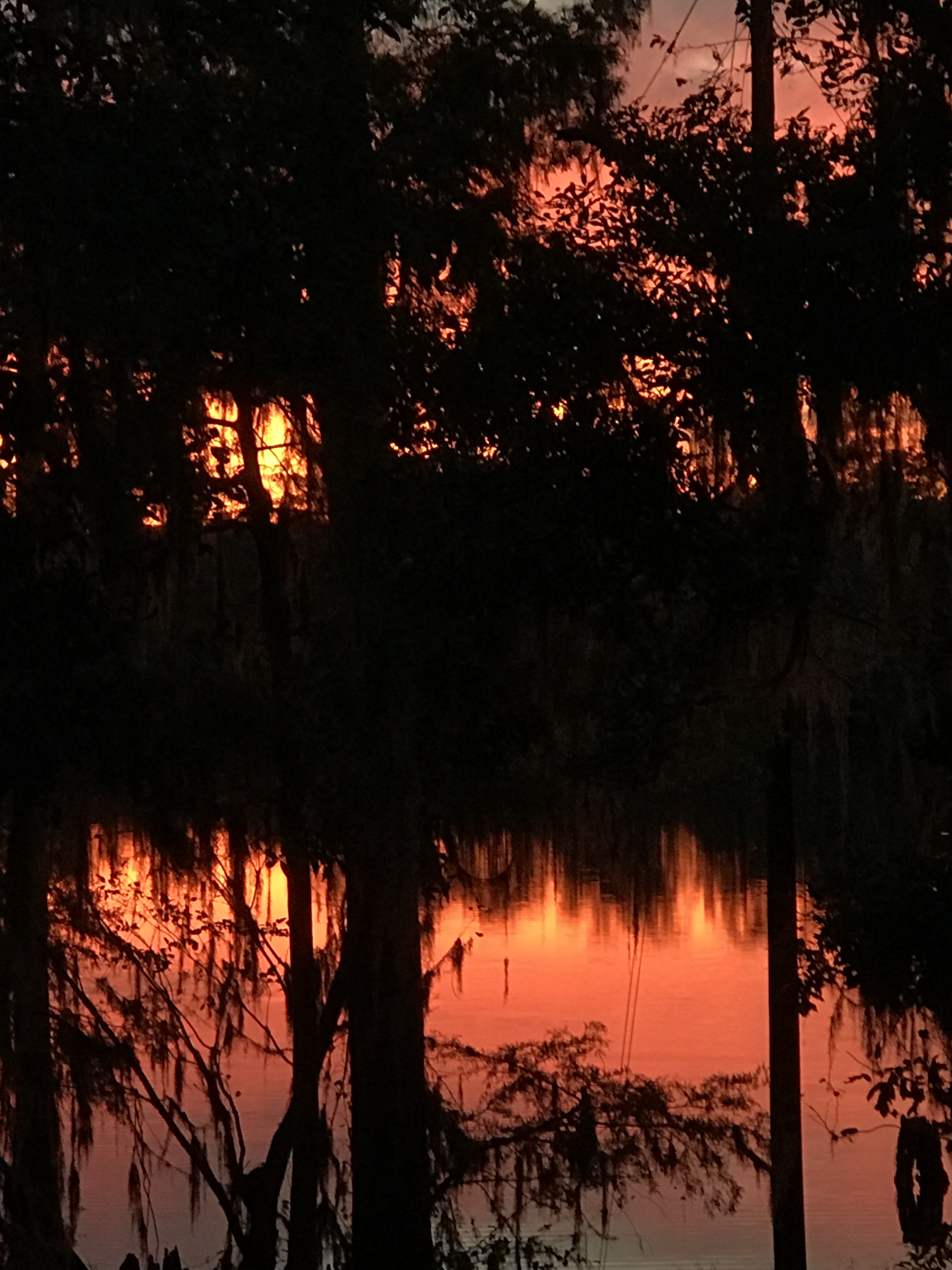 Poem: Ash | BREATHE: Michelle Garren-Flye