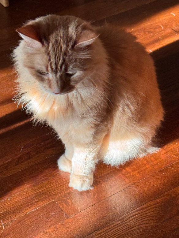 Happy National Poetry Month: Poem 25 | BREATHE: Michelle Garren-Flye