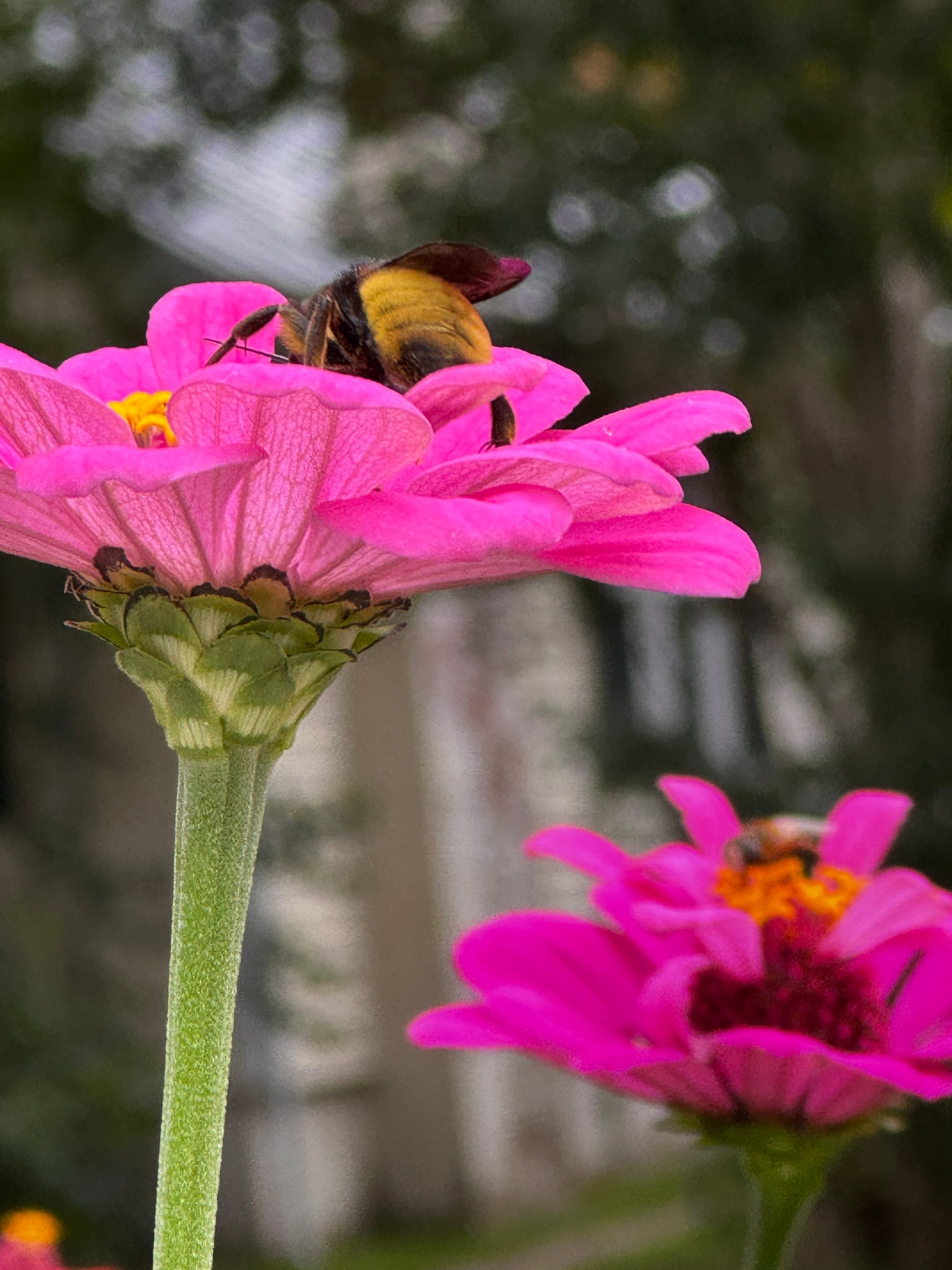 Happy National Poetry Month: Poem 26 | BREATHE: Michelle Garren-Flye